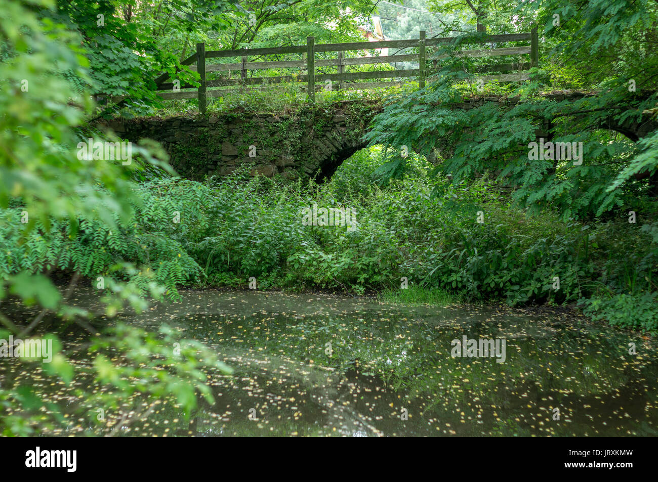 Pond around the moated castle Bagieniec lower Silesia Poland Stock ...