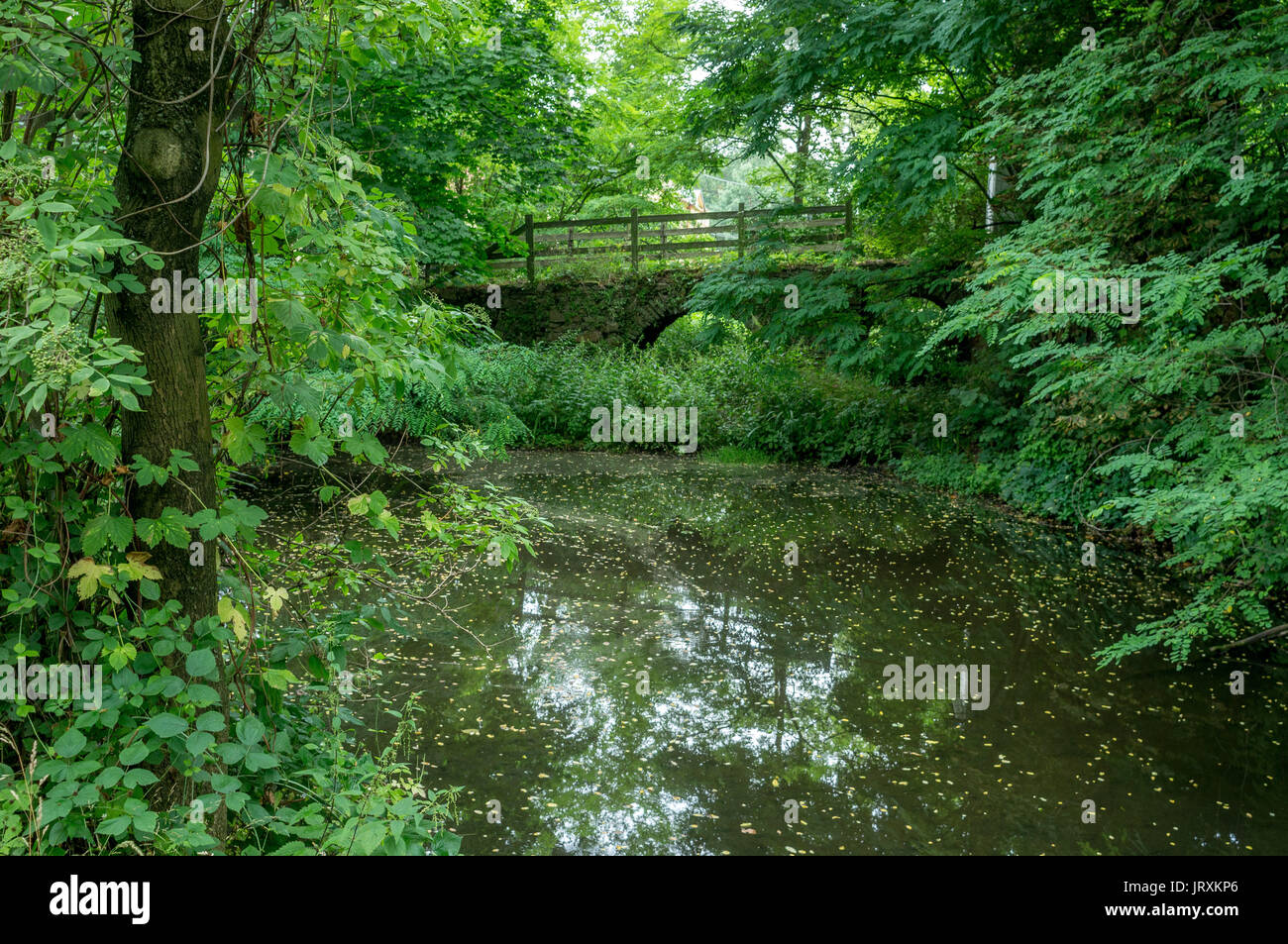 Pond around the moated castle Bagieniec lower Silesia Poland Stock ...