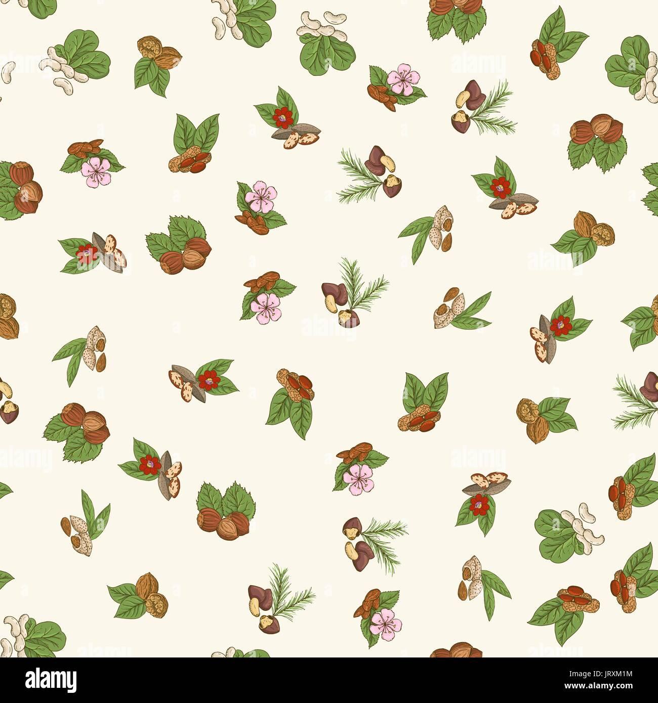 Vector seamless pattern with nuts in hand drawn style Stock Vector ...
