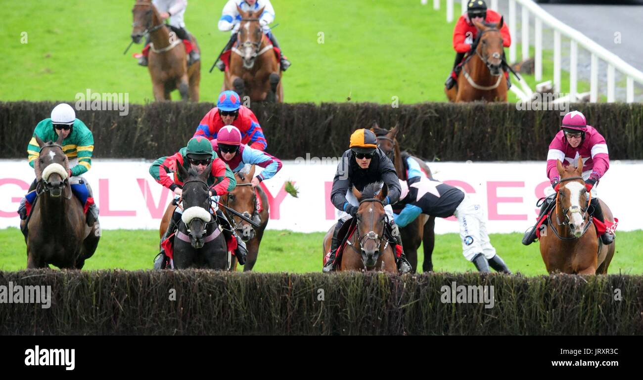 Neverushacon and jockey Ryan Treacy (centre) go on to win the Lord ...