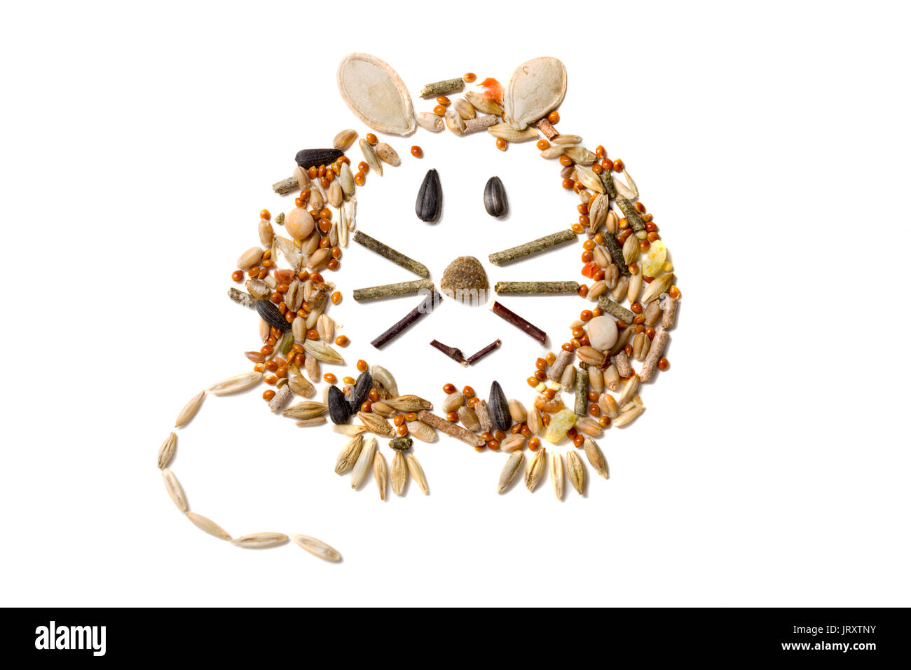 Cute and funny rodent made of rodent`s feed Stock Photo - Alamy
