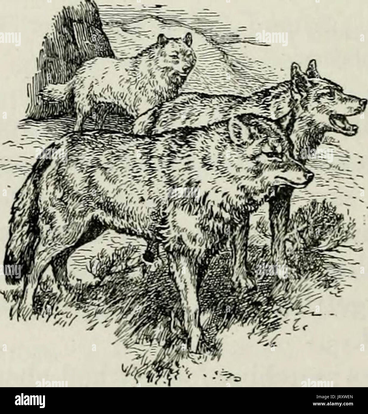 "Ox-team days on the Oregon Trail /by Ezra Meeker ; revised and edited ...