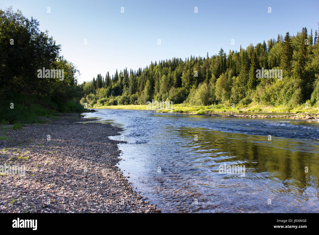 Riverside forest hi-res stock photography and images - Alamy