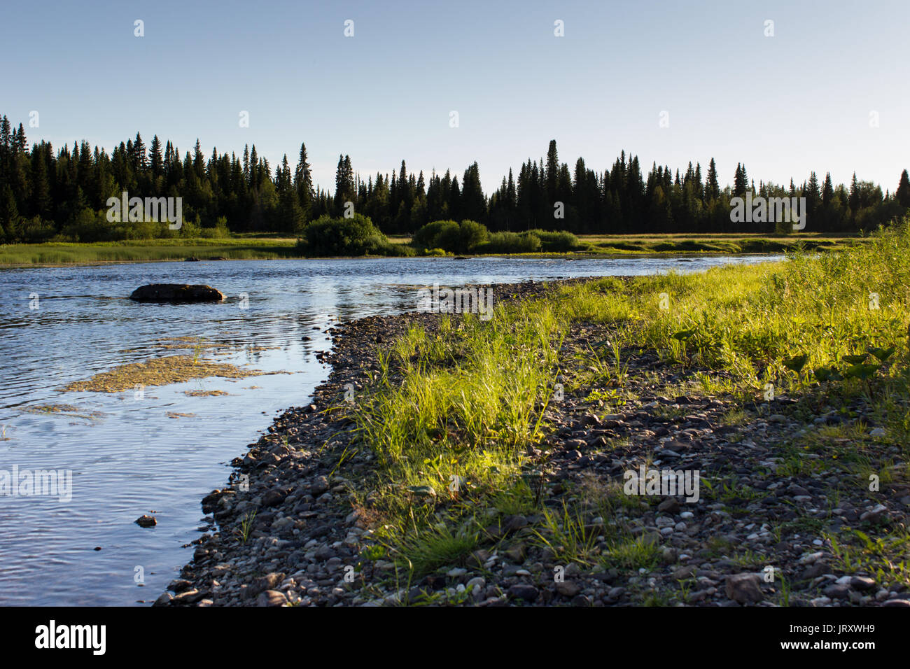 Riverside forest hi-res stock photography and images - Alamy