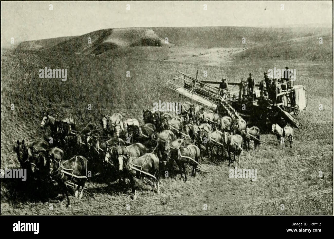 Ox team days on the oregon trail by ezra meeker hi-res stock ...