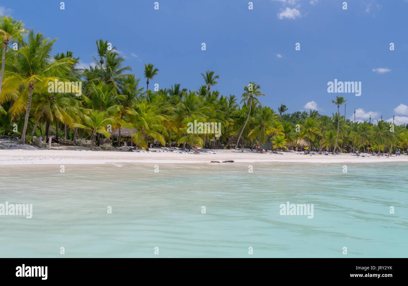 Beach on the Caribbean island of Saona in Dominican Republic Stock ...