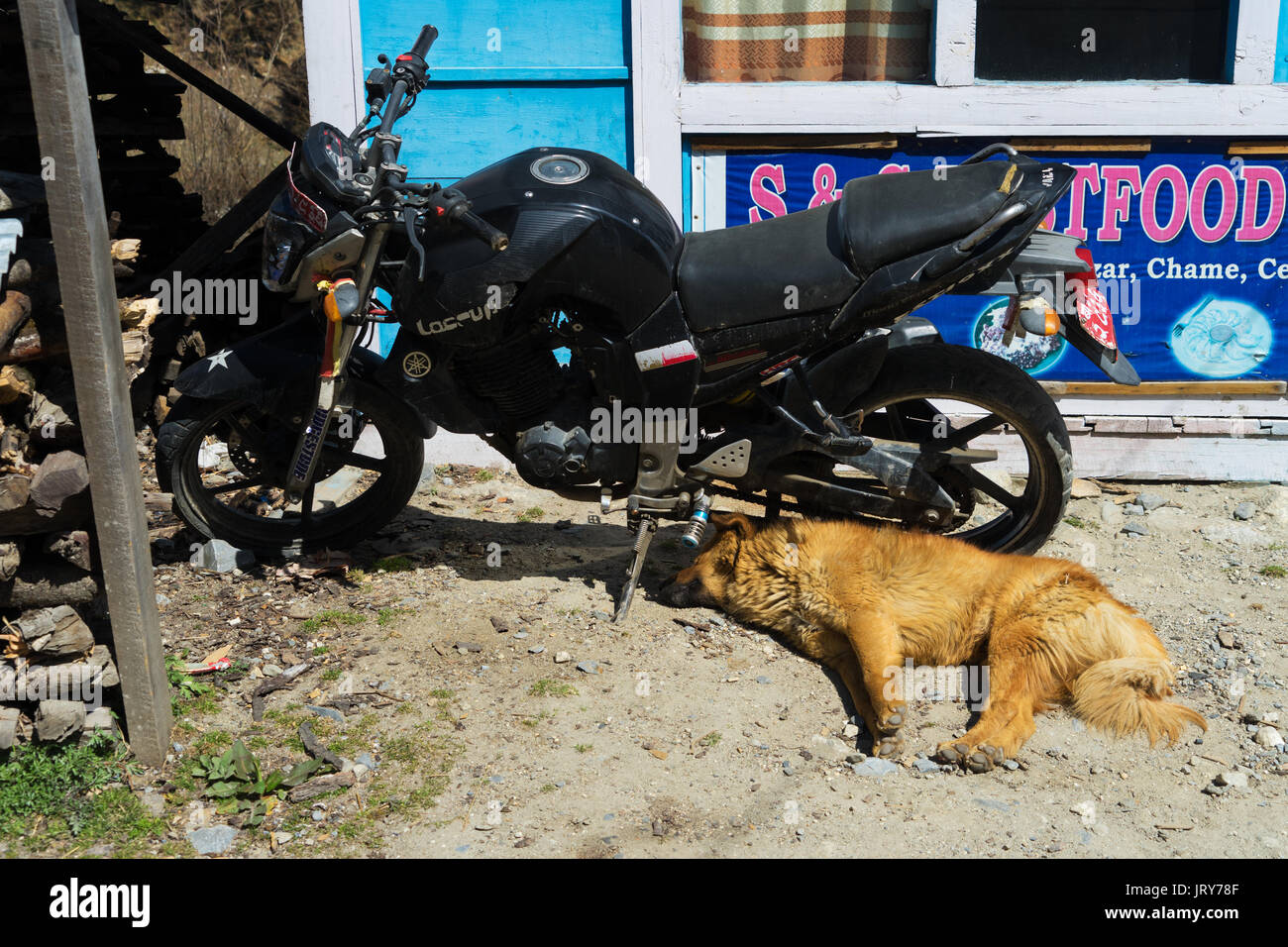 Sleeping on motorcycle hi-res stock photography and images - Alamy