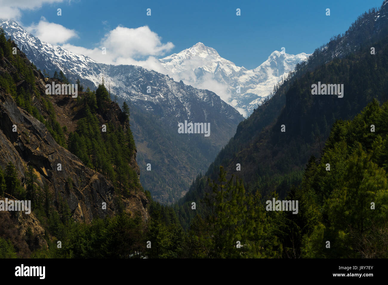 Alpine himalayan hi-res stock photography and images - Alamy