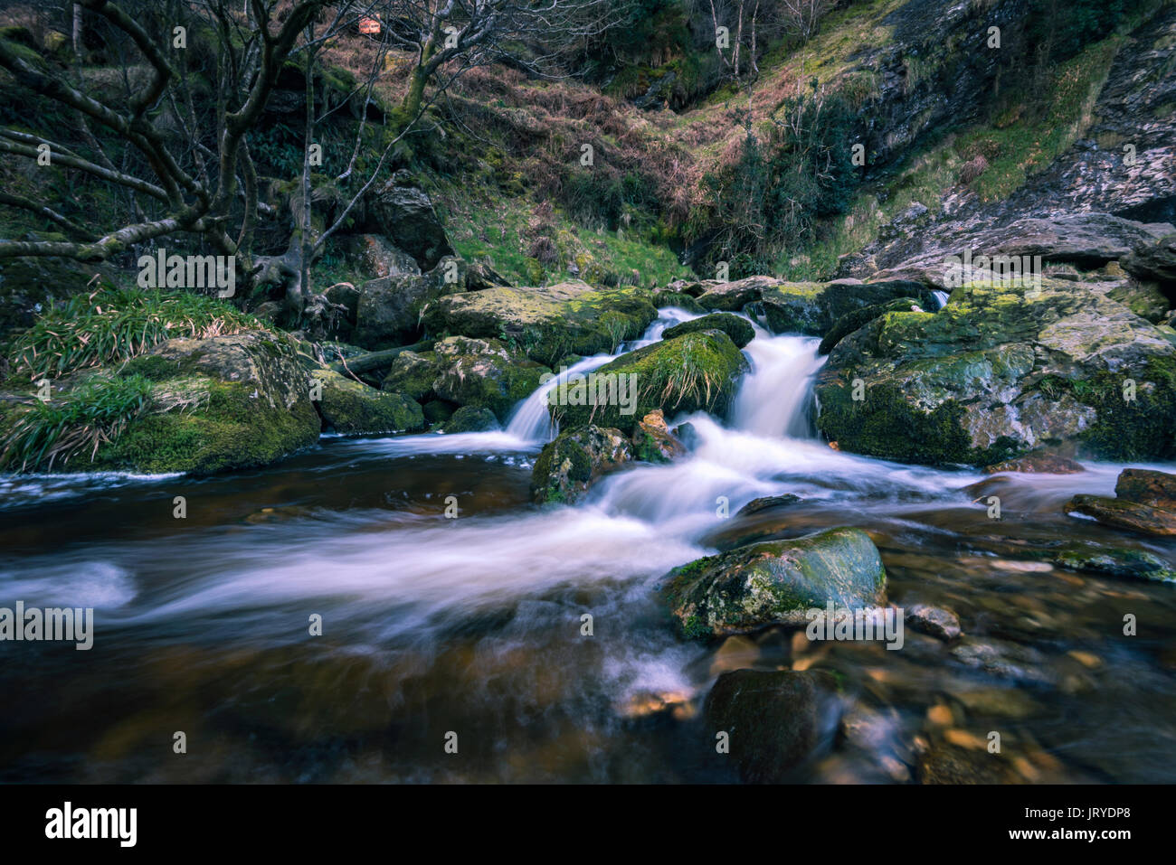 Waterfall landscape in deep forest of Ireland Stock Photo - Alamy
