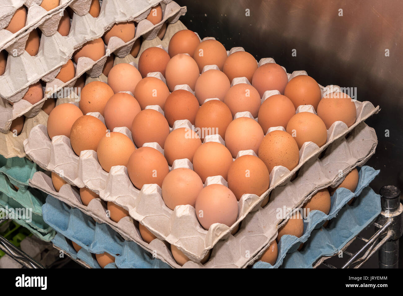 Chicken eggs stacked in trays Stock Photo - Alamy