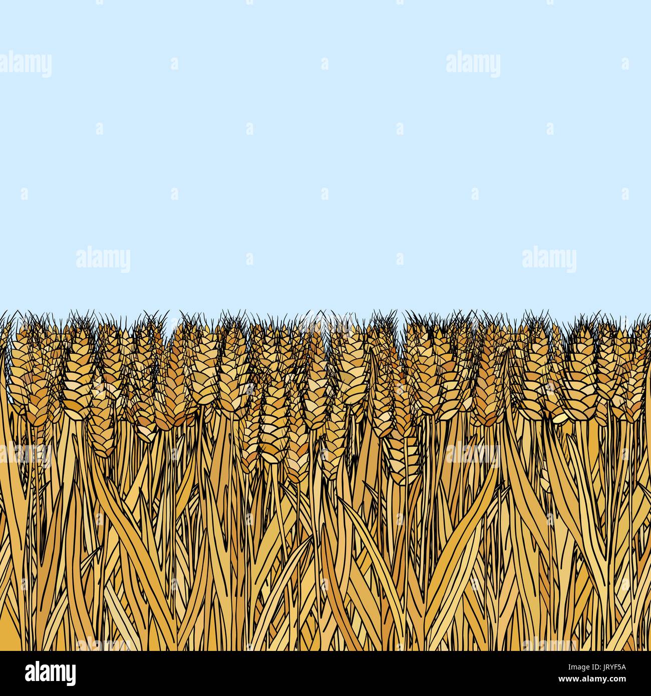 Barley bundle Stock Vector Images - Alamy