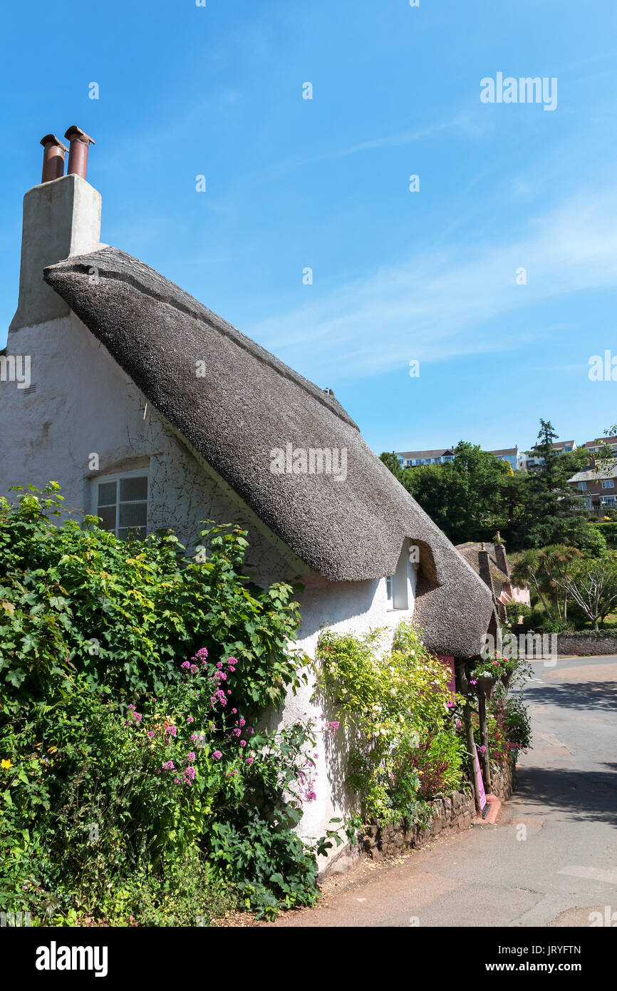 the old english village of cockington near torquay in devon, england ...