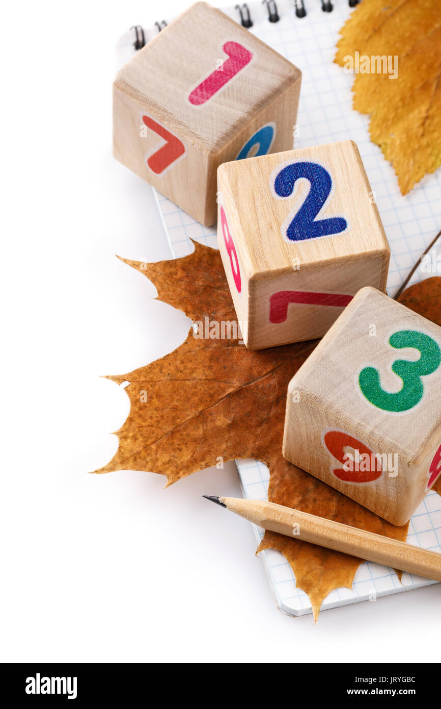 Pencil, cubes with figures and autumn leaves on a white background ...
