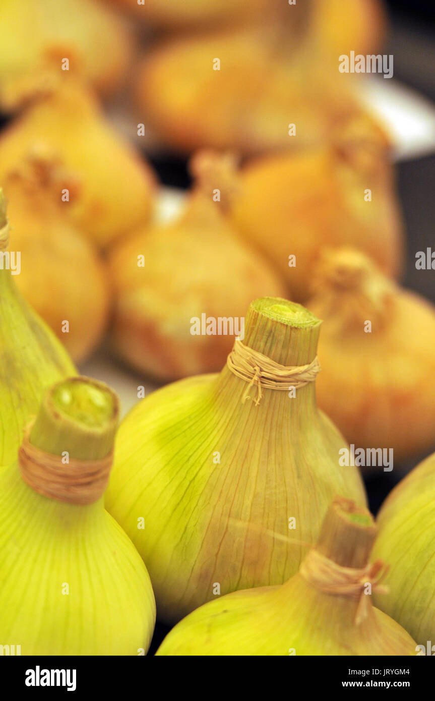 With the shows producers hi-res stock photography and images - Alamy