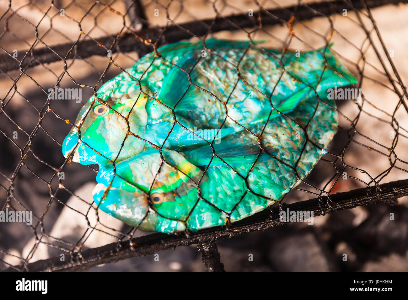 Grilled fresh seafood: parrot fish, octopus, shrimp food background ...