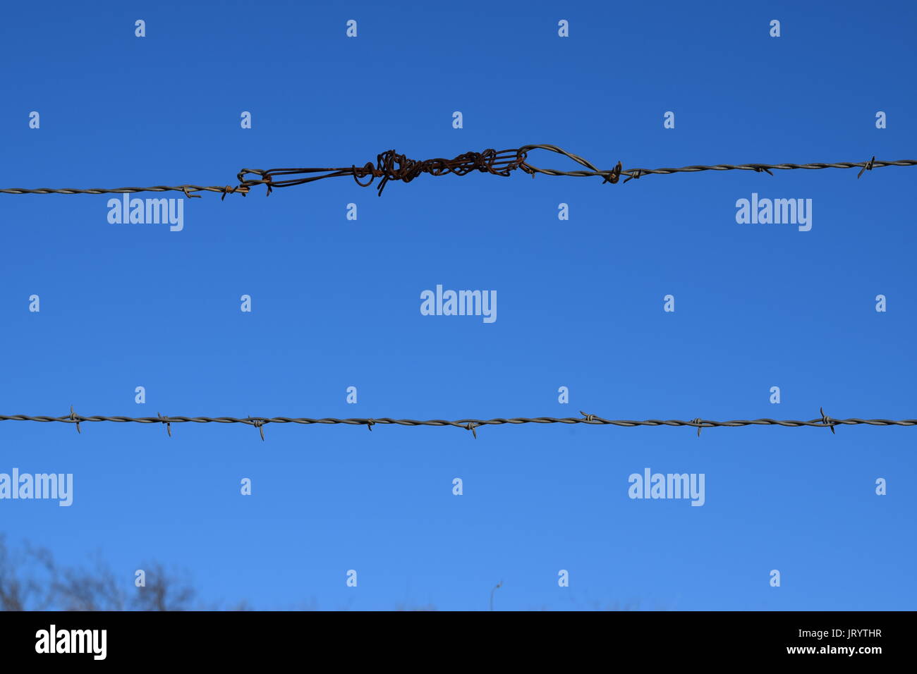 Texas barb wire hi-res stock photography and images - Alamy