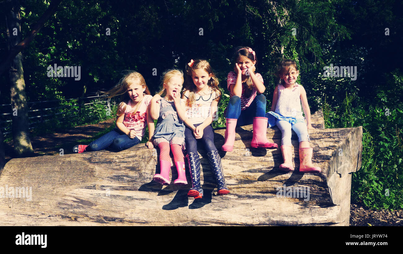 Five girls, children sitting on a giant log, in Castletown House ...