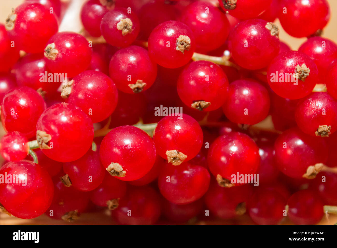 Red currant texture hi-res stock photography and images - Alamy