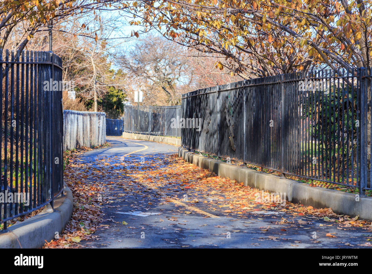 Fall landscape in a park in Bay Ridge, Brooklyn, New York, NY, USA in ...