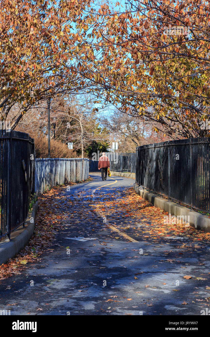 Narrows botanical garden hi-res stock photography and images - Alamy