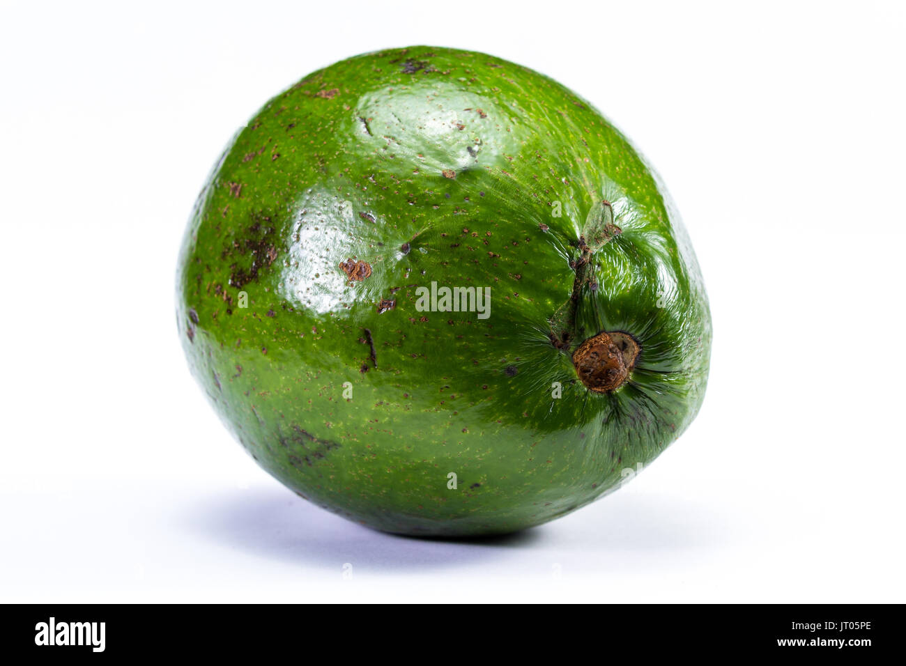 large green avocado with smooth skin isolated on a white background ...