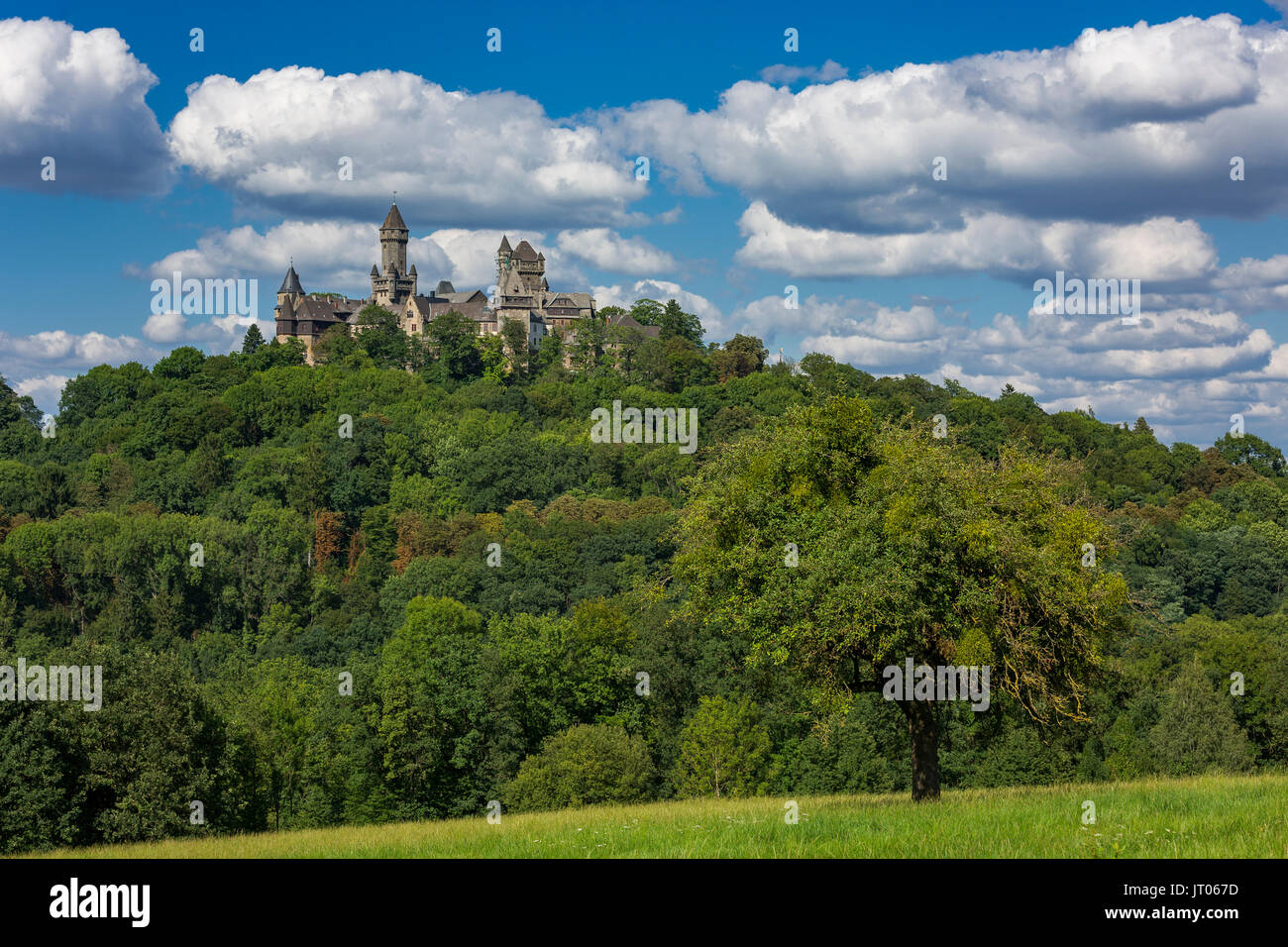 Marchen wald hi-res stock photography and images - Alamy