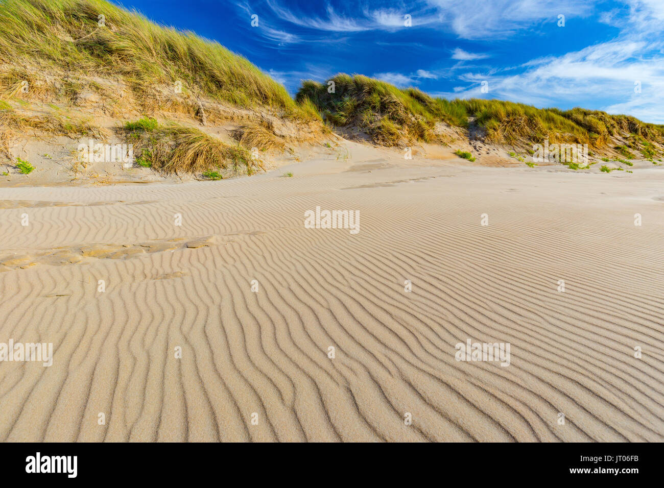 North Sea sand dunes in De Haan, Belgium at sunset Stock Photo - Alamy