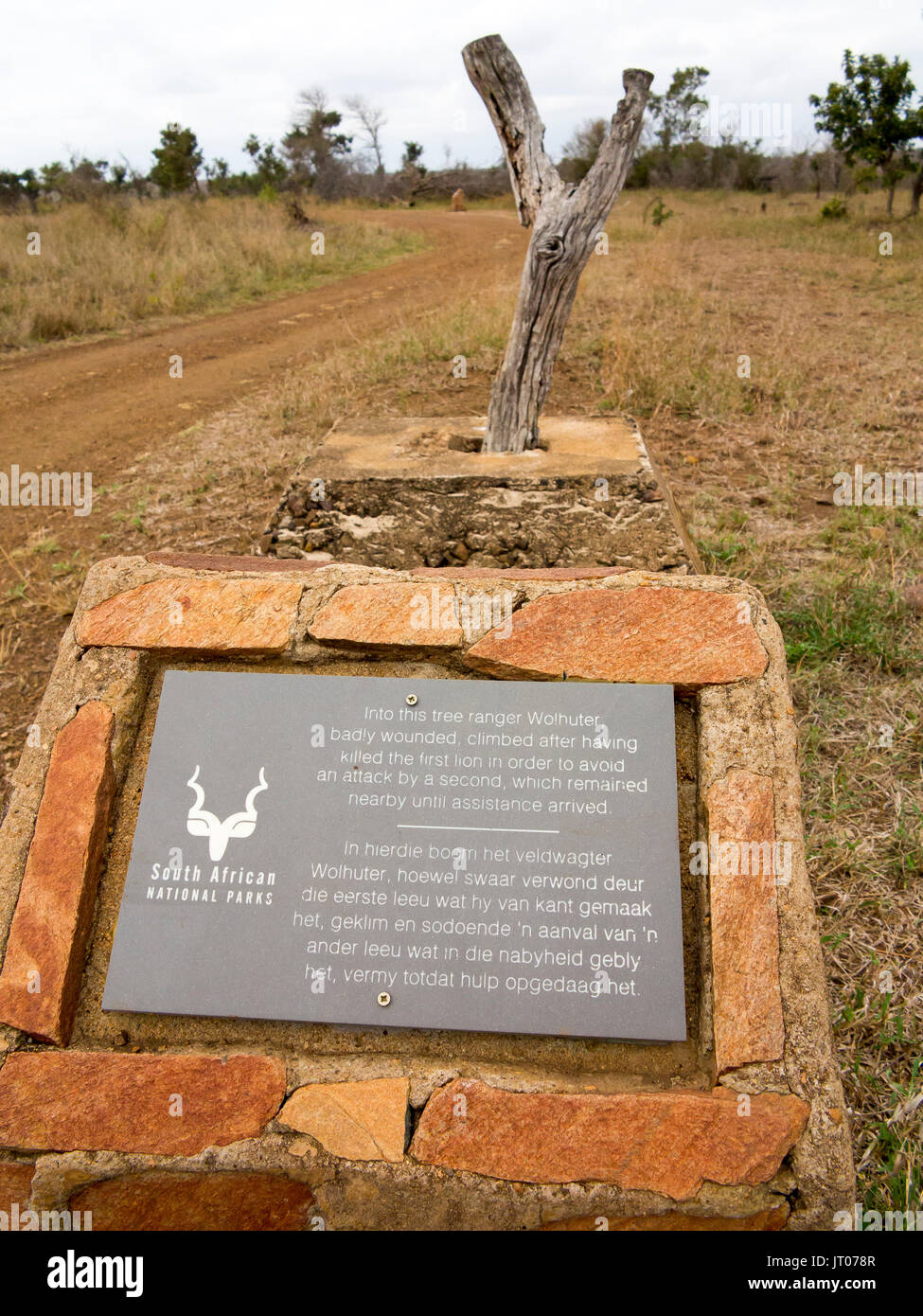 Attack lion hi-res stock photography and images - Alamy