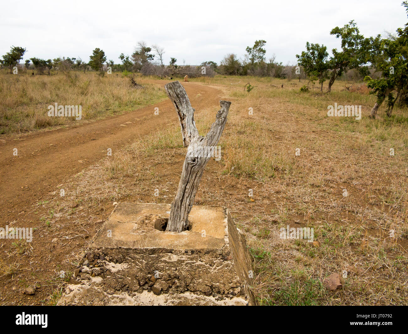 Lindanda Road in Kruger National Park, the place where the Kruger Park ...