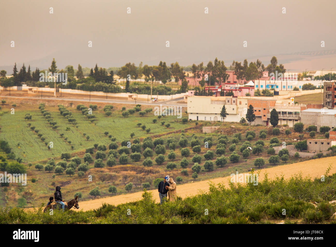 Agriculture. Rural community Zeguota. Morocco, Maghreb North Africa ...