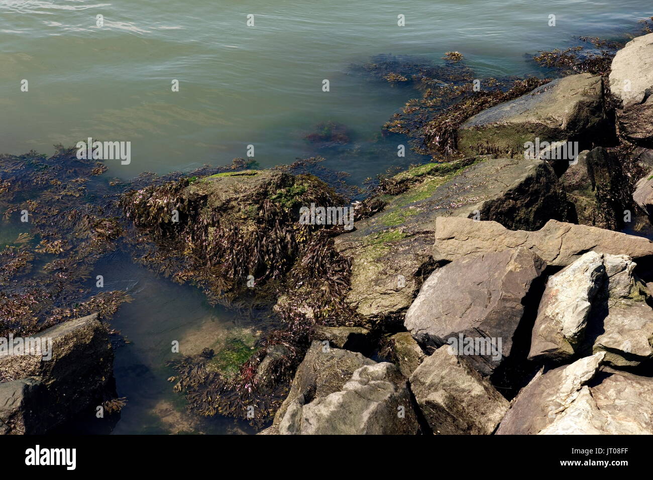 Indian River Inlet During Summer Season Stock Photo - Alamy