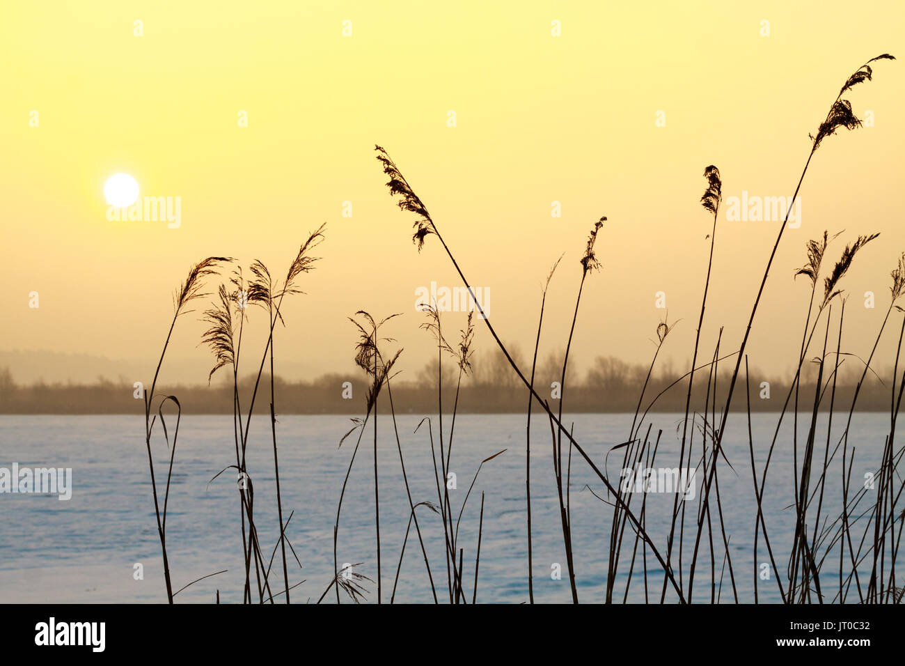 Golden sun disc hi-res stock photography and images - Alamy