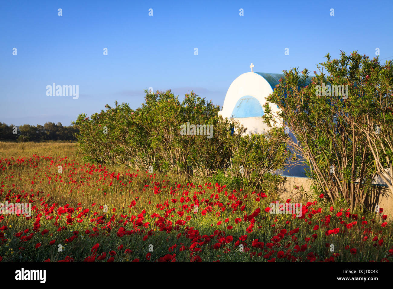 Greek poppy field greece hi-res stock photography and images - Alamy