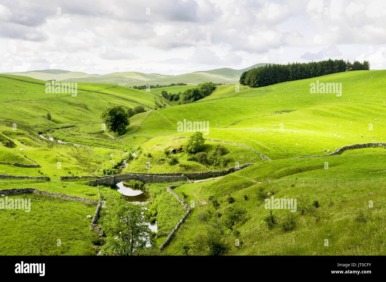 Grazed pasture grassland hi-res stock photography and images - Alamy