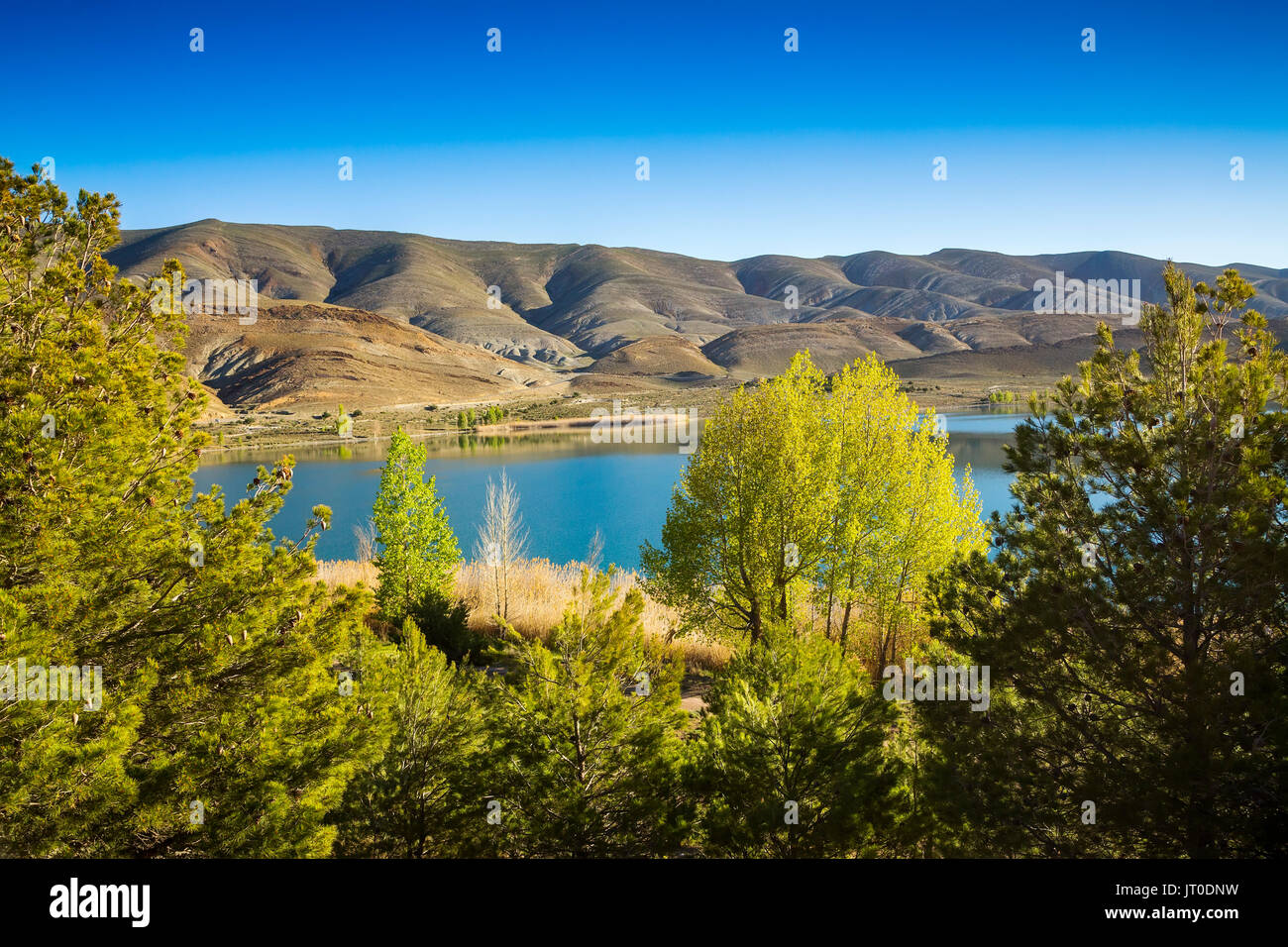 Blue water lake and vegetation. High Atlas. Morocco, Maghreb North ...