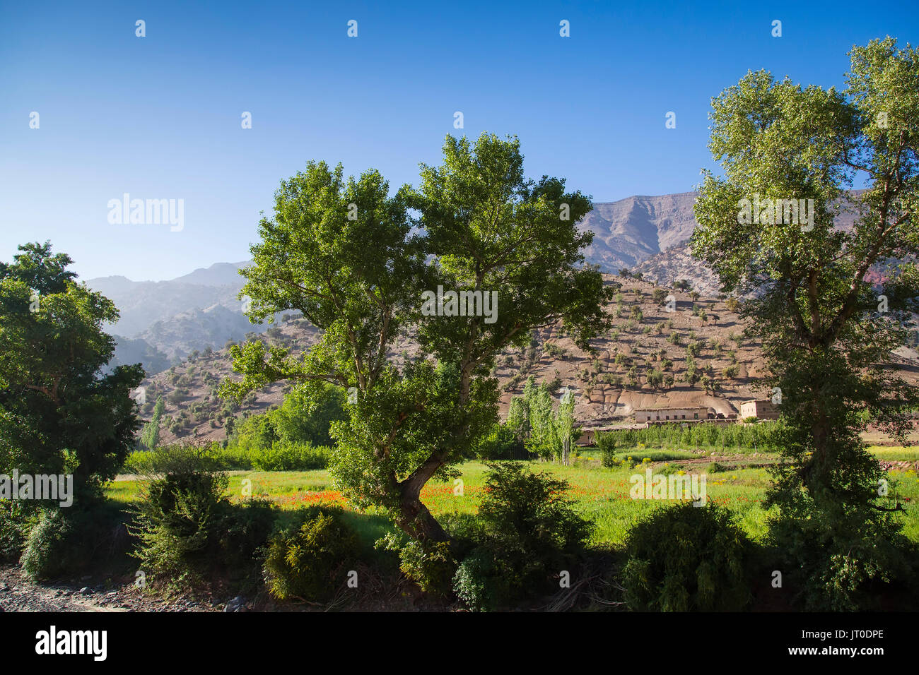 Atlas peak hi-res stock photography and images - Alamy