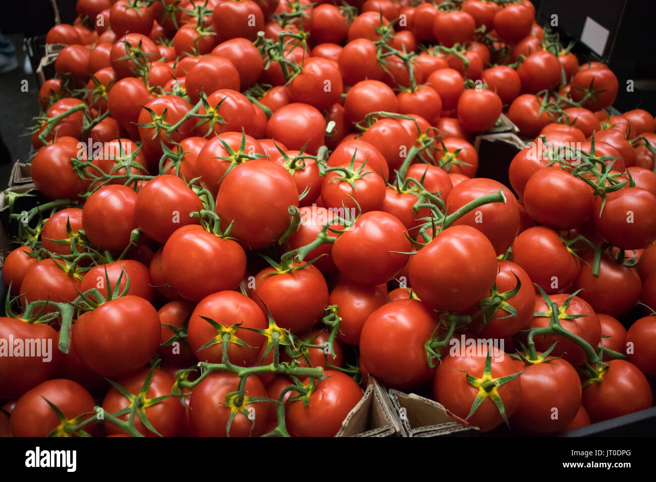 Group small bio tomatoes hi-res stock photography and images - Alamy