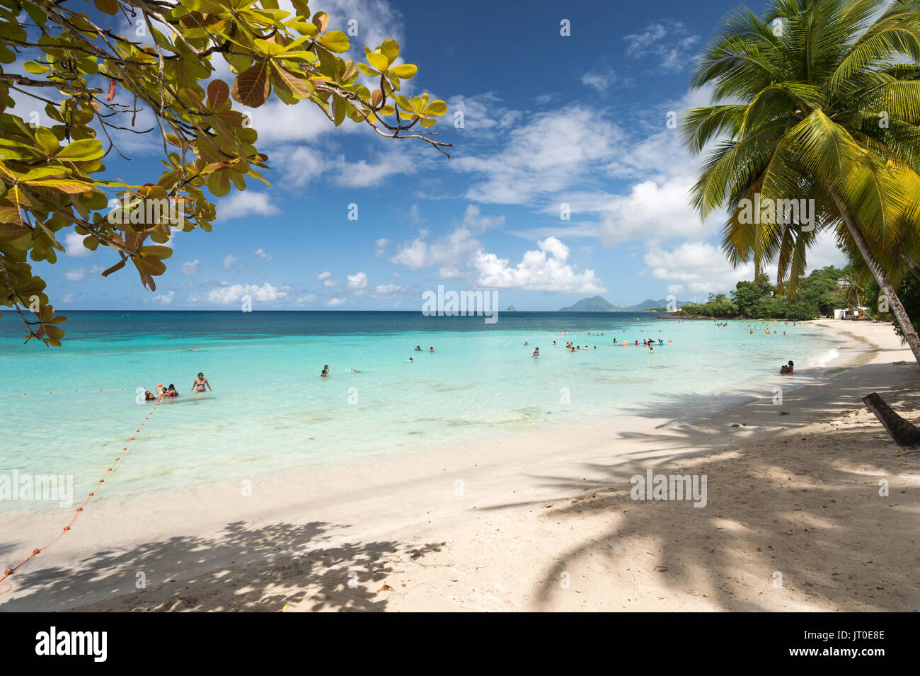 Tropical beach martinique hi-res stock photography and images - Alamy