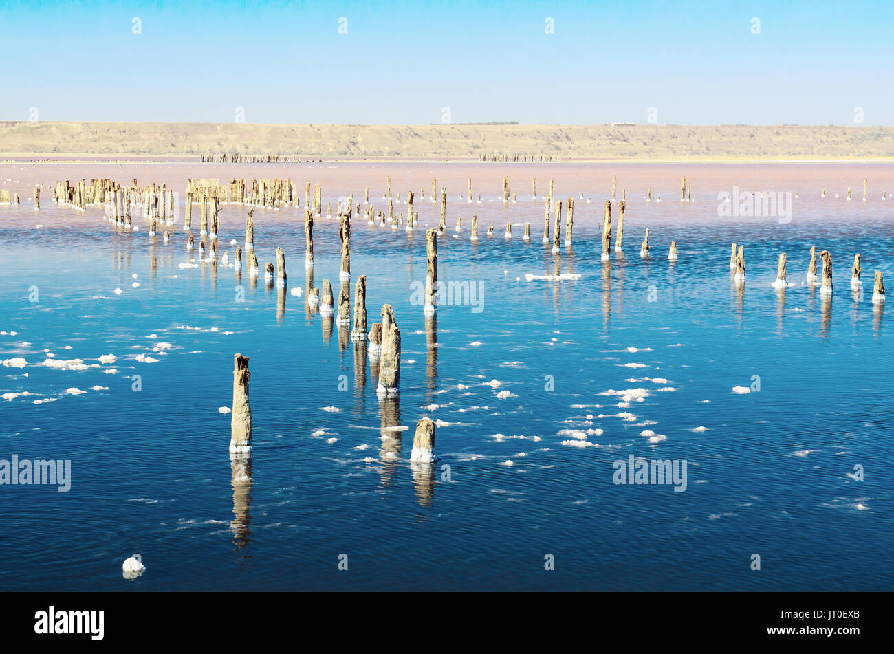 Beautiful salt lake Stock Photo - Alamy