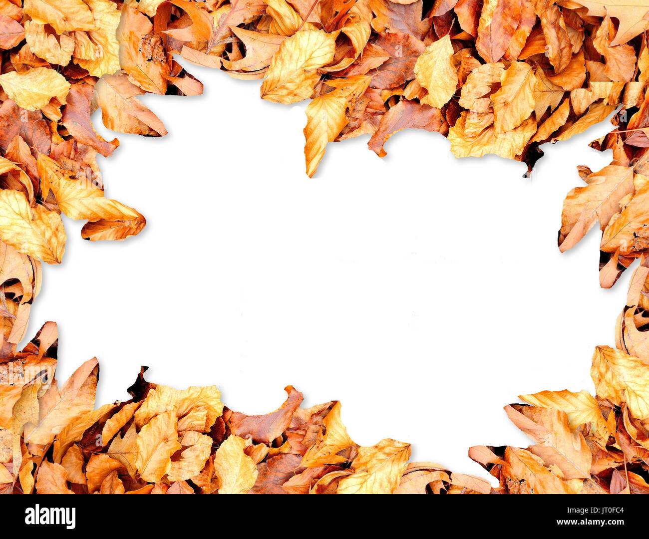 Leaves falling around hi-res stock photography and images - Alamy