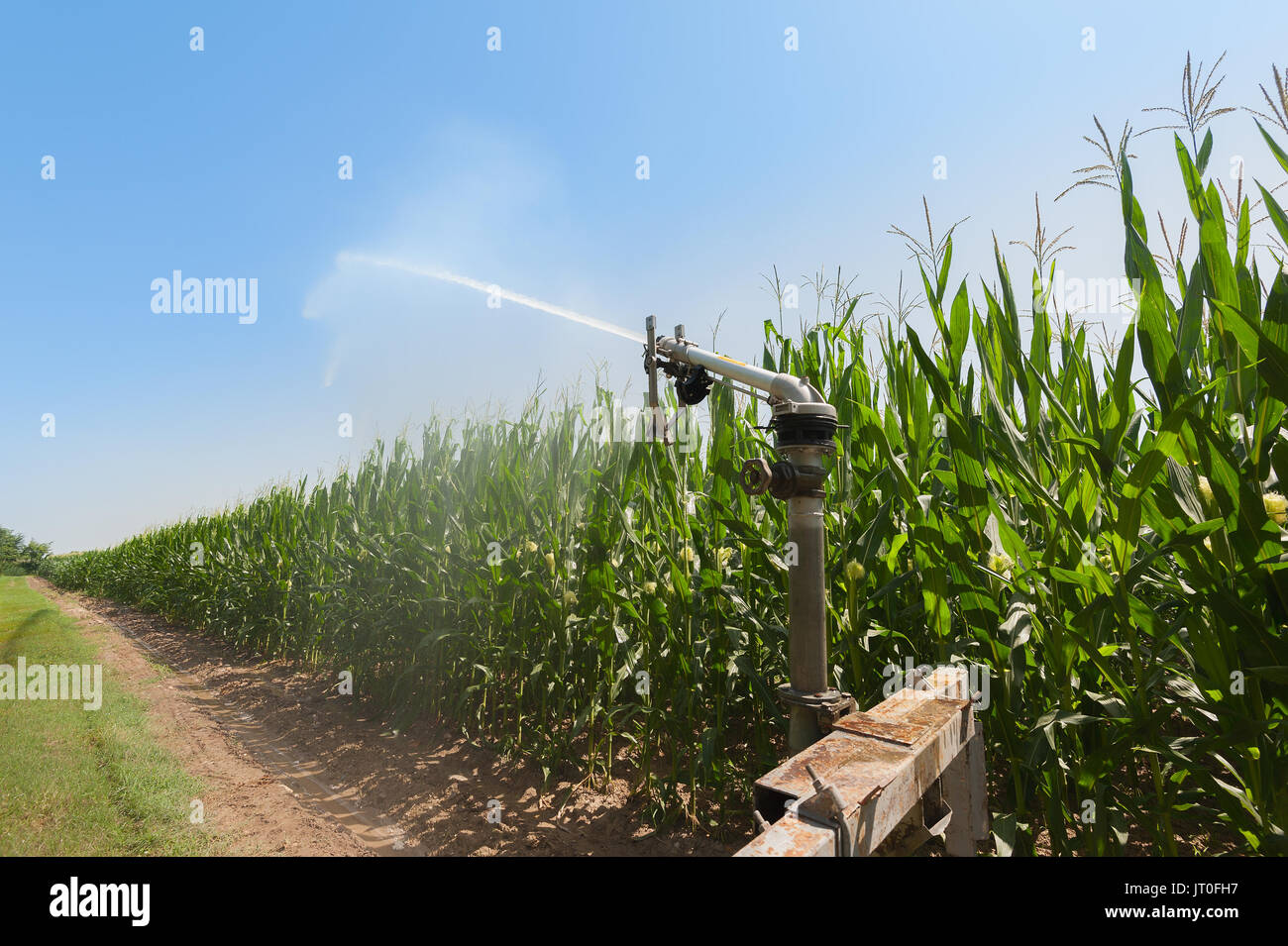Corn field landscape hi-res stock photography and images - Alamy