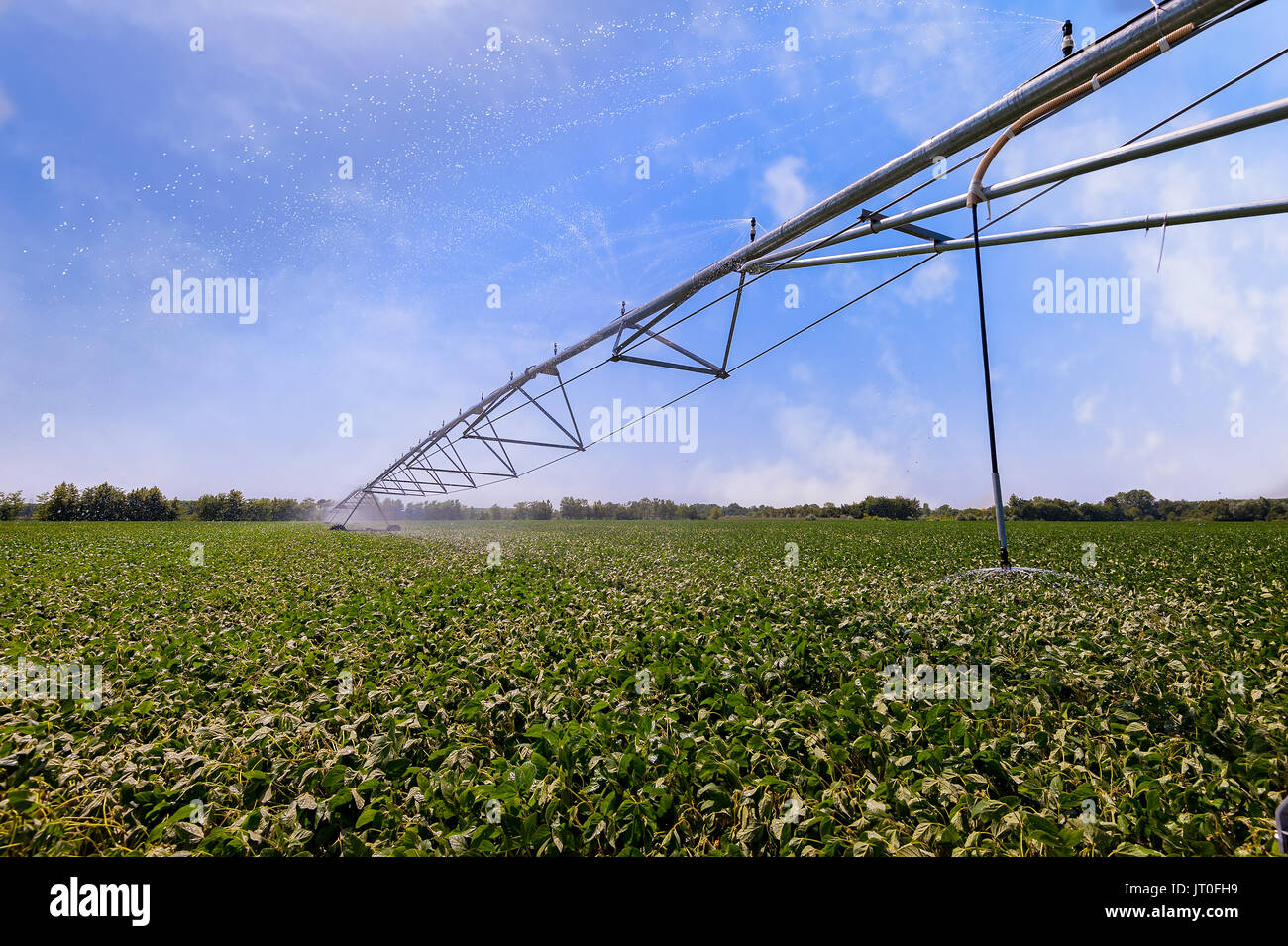Soybean field irrigated by a pivot sprinkler systeem. Crop Irrigation ...