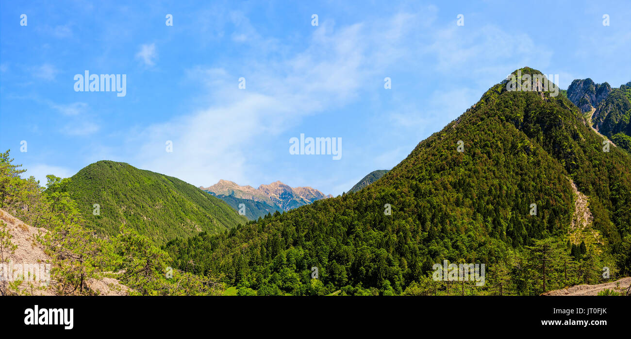Forest mountain italian alps hi-res stock photography and images - Alamy