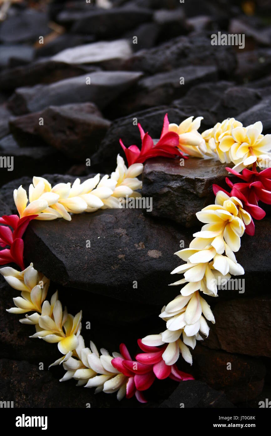 Hawaiian flower lei Stock Photo - Alamy