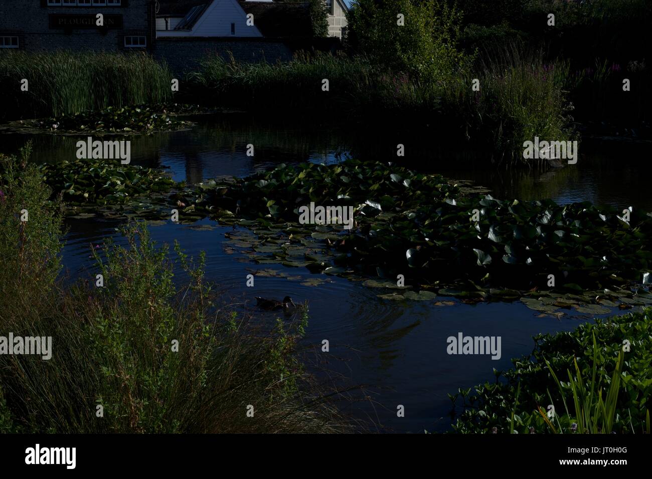 Pond in Rottingdean, east sussex, brighton Stock Photo - Alamy