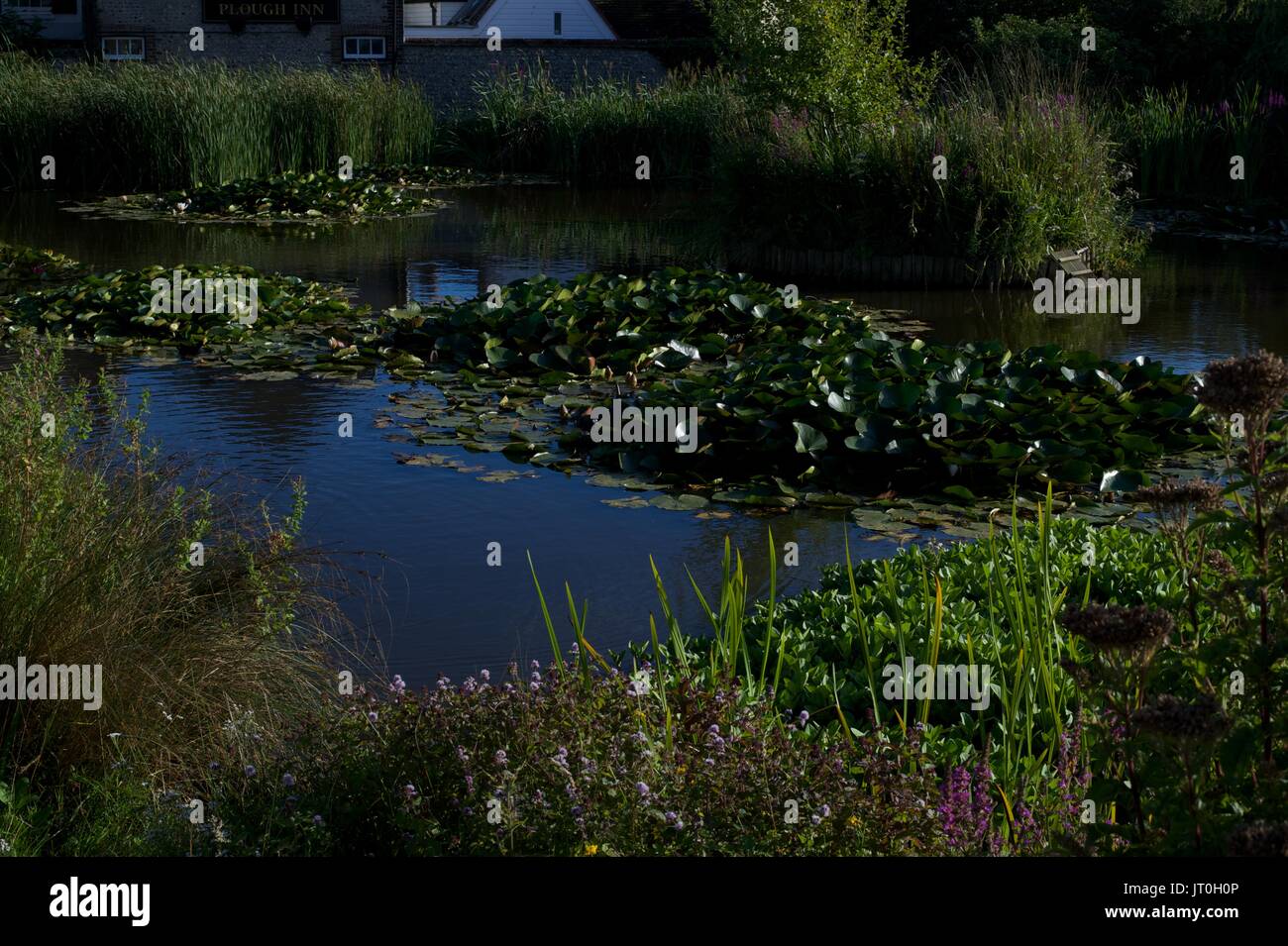 Pond in Rottingdean, east sussex, brighton Stock Photo - Alamy