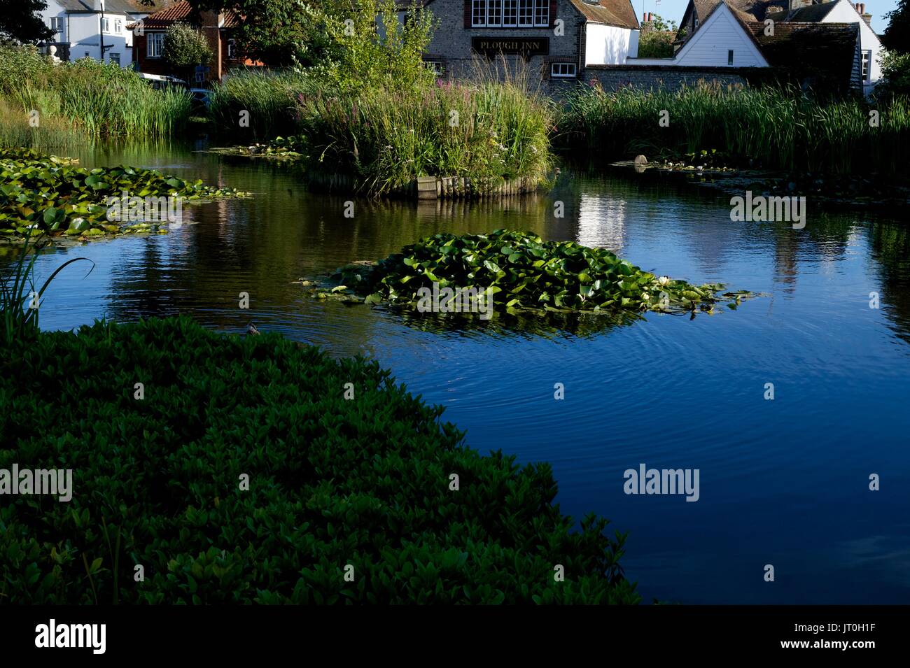 Pond in Rottingdean, east sussex, brighton Stock Photo - Alamy