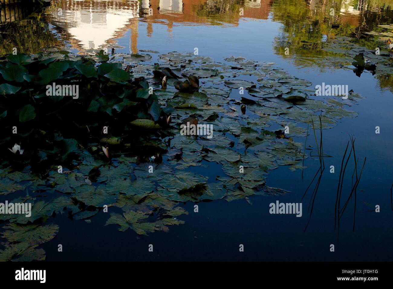 Pond in Rottingdean, east sussex, brighton Stock Photo - Alamy