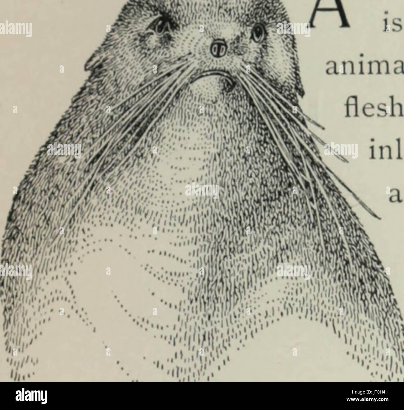 "Alaska, its history and resources, gold fields, routes and scenery ...