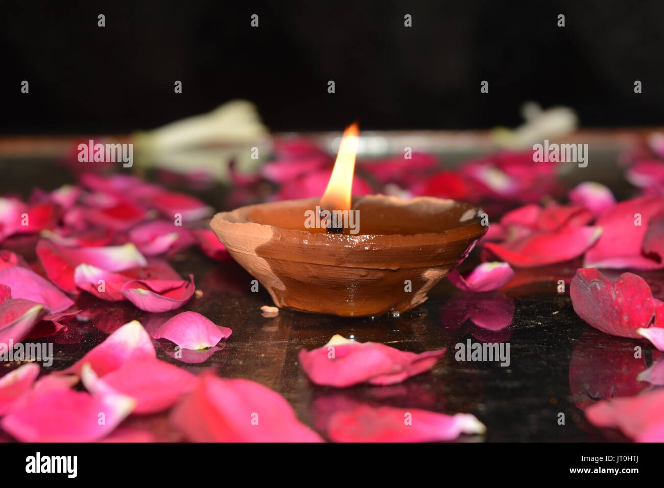 Indian roses hi-res stock photography and images - Alamy